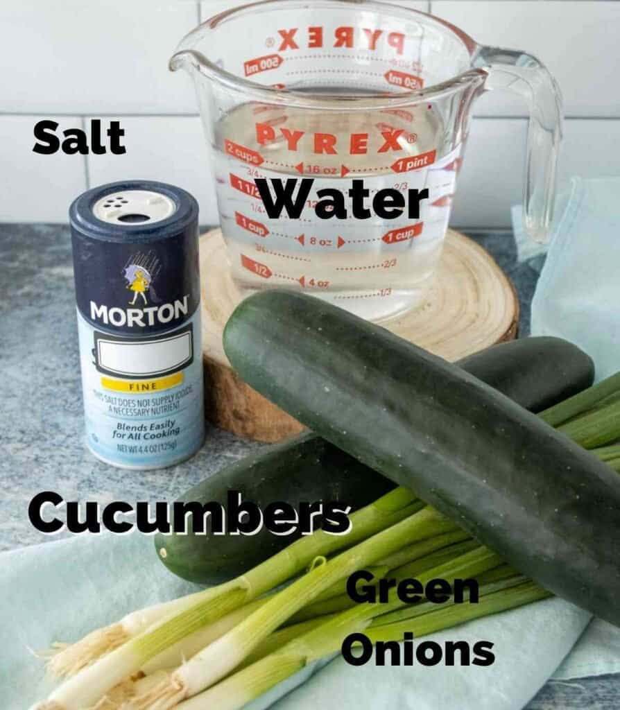 Simple Salty Cucumbers - Mindee's Cooking Obsession