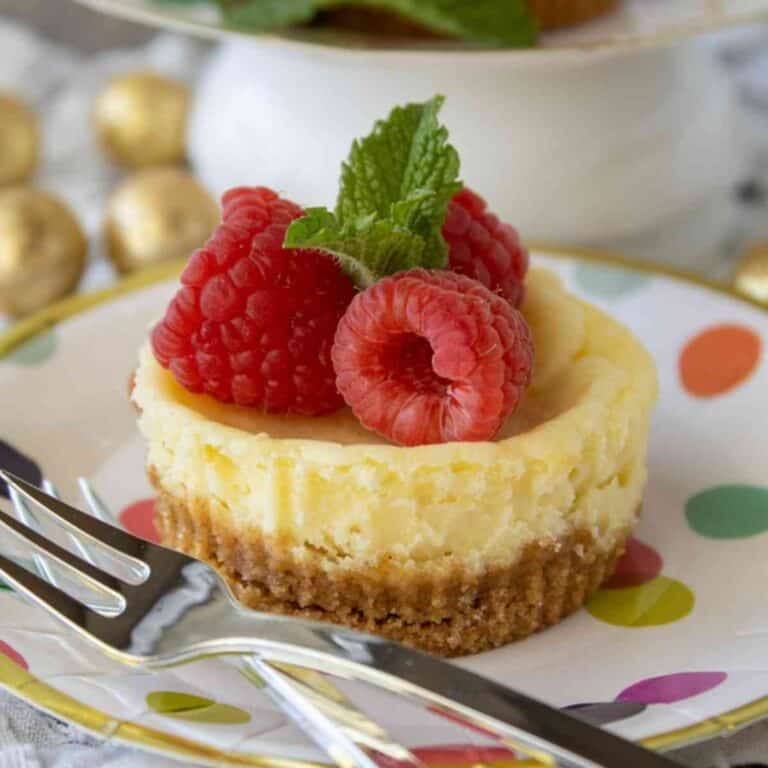 Mini New York Cheesecake Recipe - Mindee's Cooking Obsession