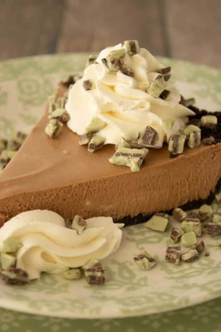 27 Mint Recipes That Will Freshen Up Your Meals - Mindee's Cooking ...